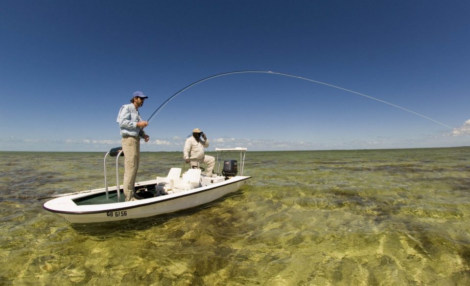 Anglers’ Fly Fishing Reference Section | Angler Adventures