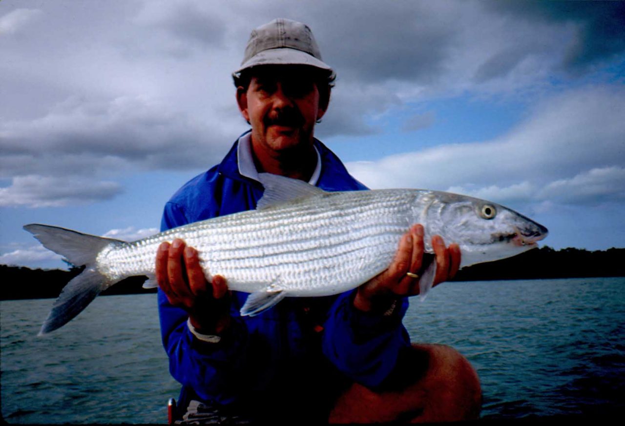 Bahamas Fly Fishing Trips: Bonefish, Permit… › Angler Adventures
