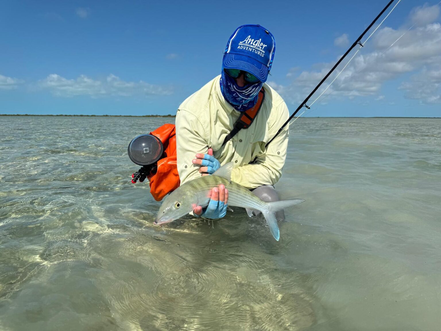 Bonefish Ramble: Watching a School Feed at Mars Bay, South Andros ...